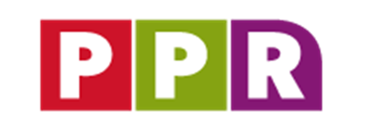 Pædagogisk Psykologisk Rådgivning (PPR) - Dansk Skoleforening